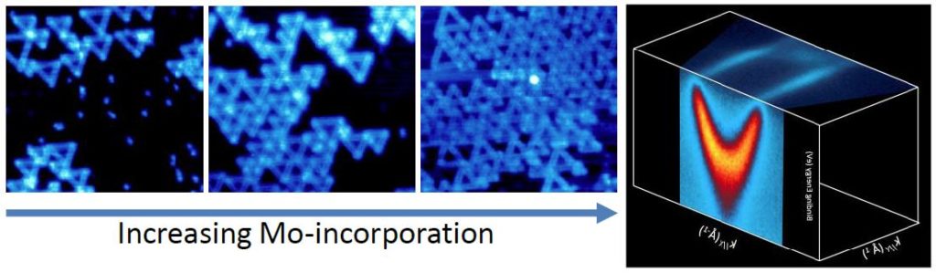 Modifications of Transition Metal Dichalcogenides by Defect and ...