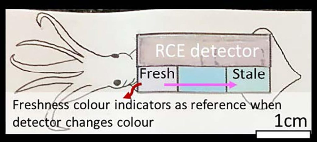 Lee Rui Xuan, Nanyang Junior College | NUS Physics