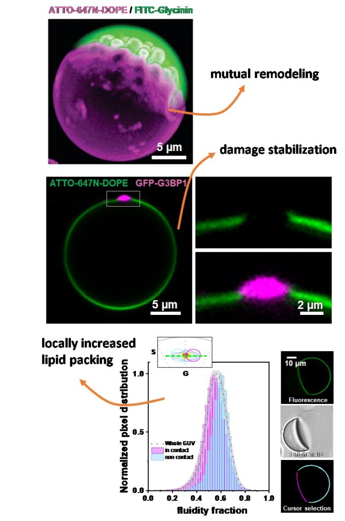seminar-2024-aug-agustín-mangiarotti | NUS Physics