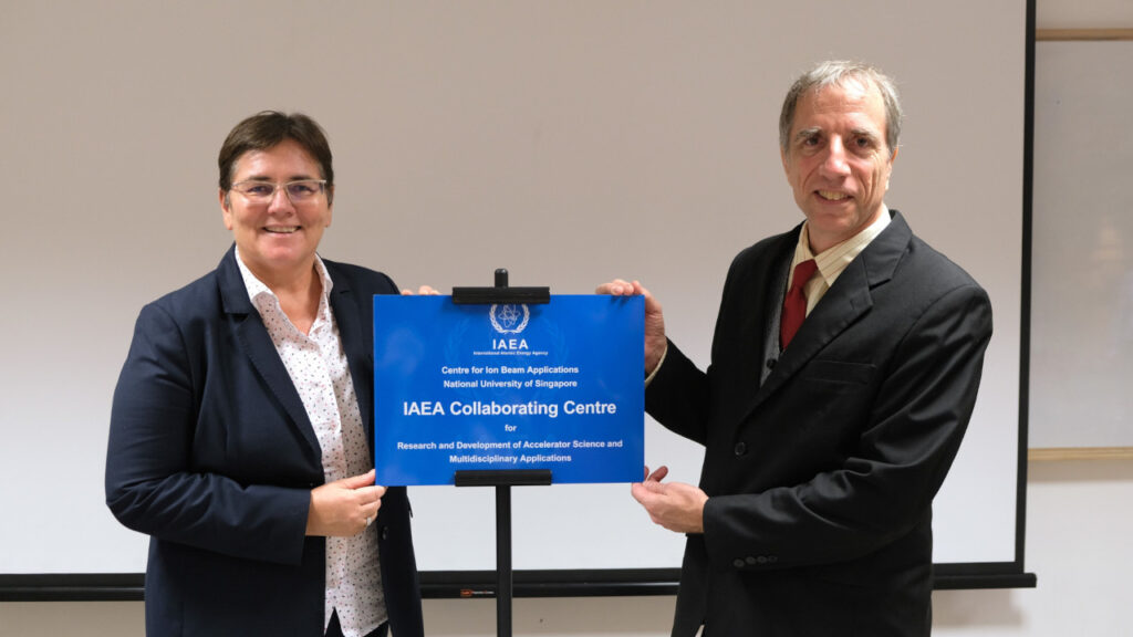 Singletron Accelerator | NUS Physics